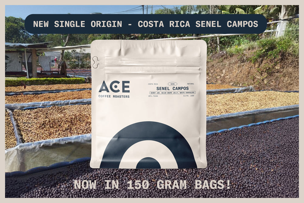 Coffee Delivery & Coffee Classes | Edmonton Coffee Roaster – ACE Coffee ...