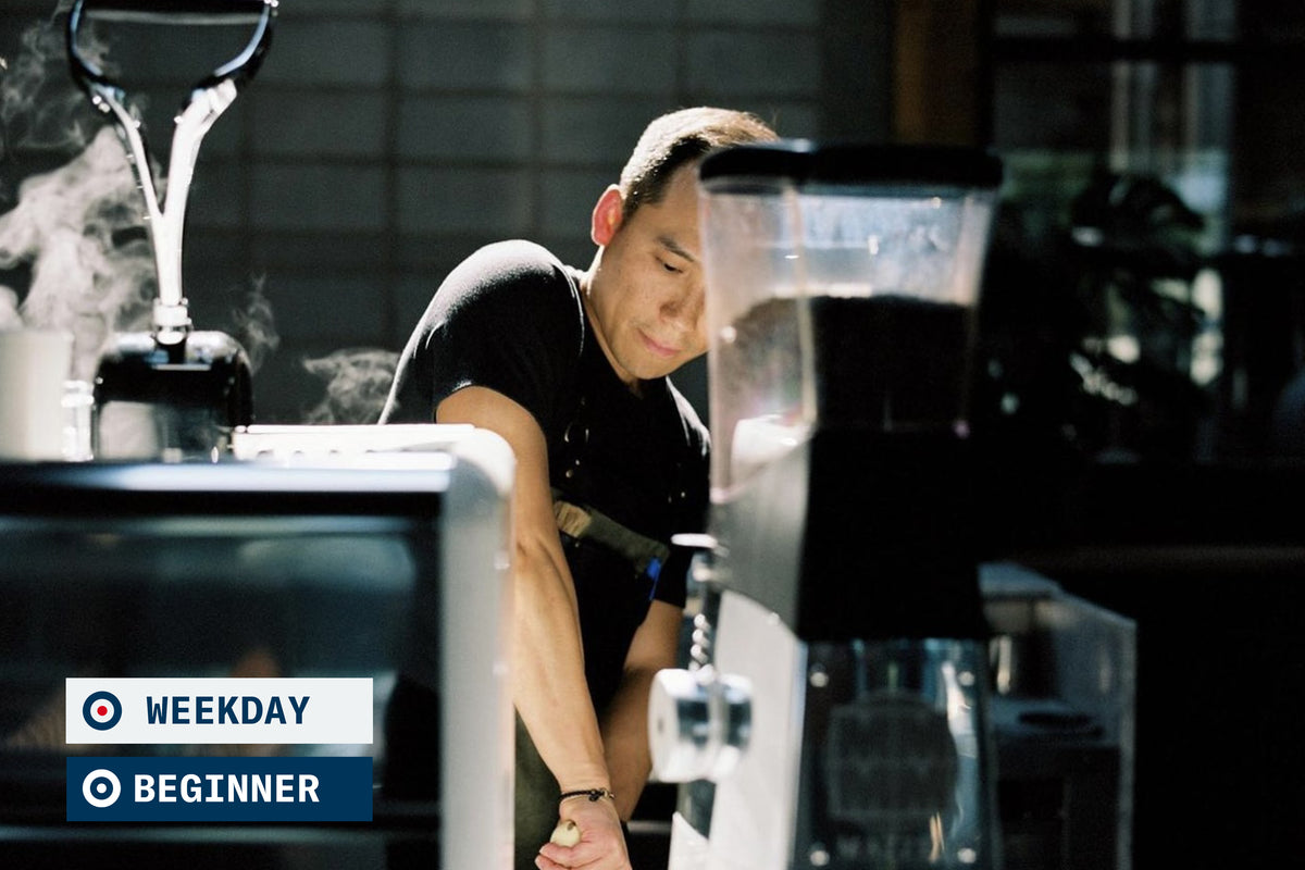 ACE Barista Foundations Skills - Beginner – ACE Coffee Roasters